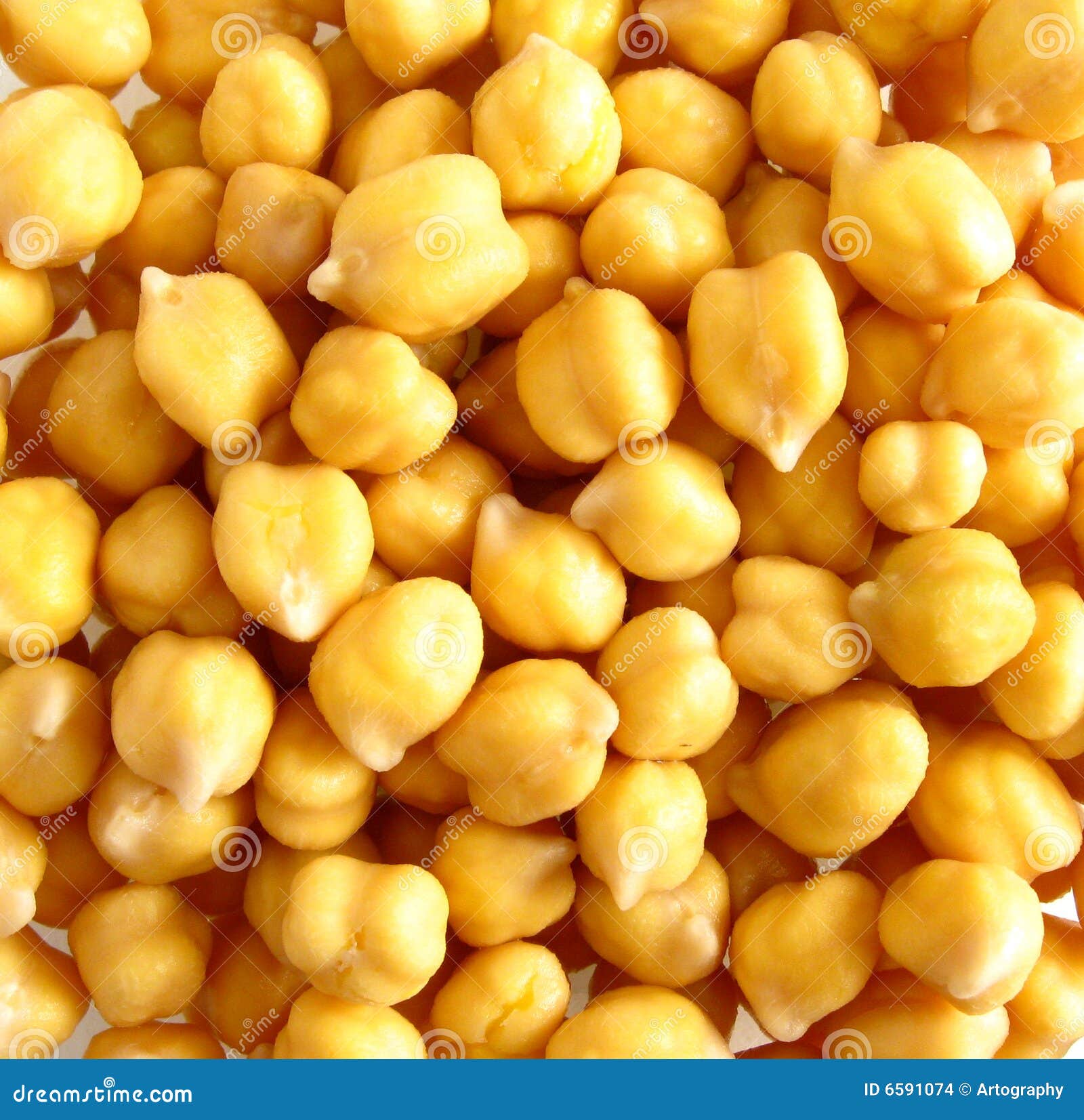 Chick-peas stock photo. Image of food, seeds, texture - 6591074