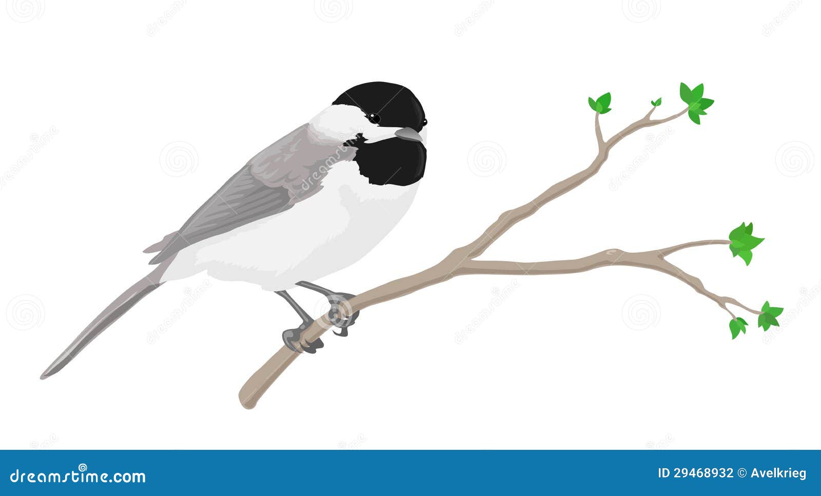 Chickadee Cartoons, Illustrations & Vector Stock Images - 3050 Pictures ...