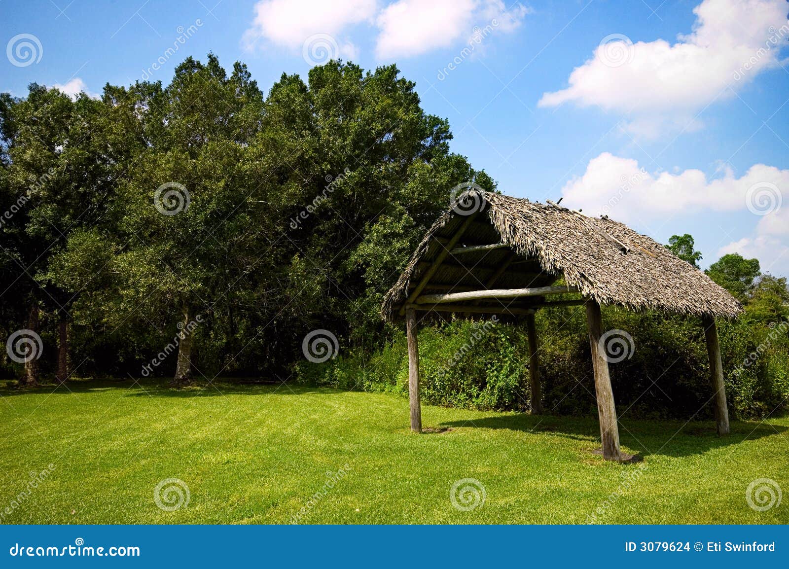 Chickee hut stock photo. Image of outdoor, pasture, cover - 3079624