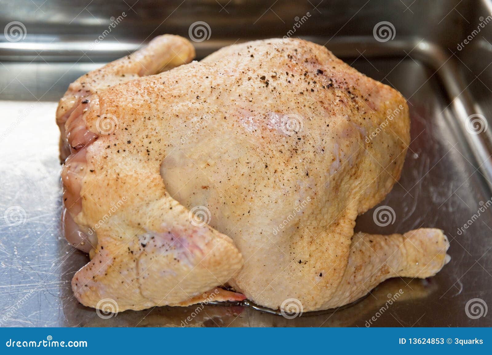 Red Chook And Rustic Country Garden Seat In The Blue Mountains Of ...