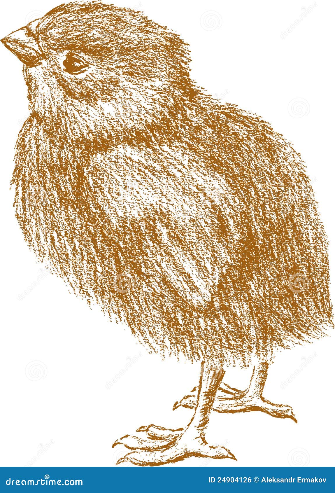 Chicken stock vector. Illustration of chick, textured - 24904126