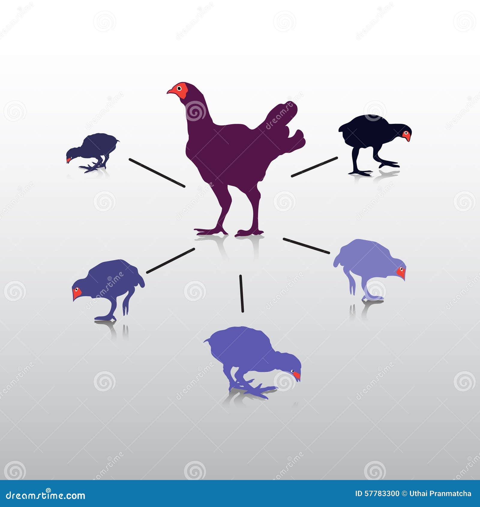 Chicken action stock vector. Illustration of silhouette - 57783300