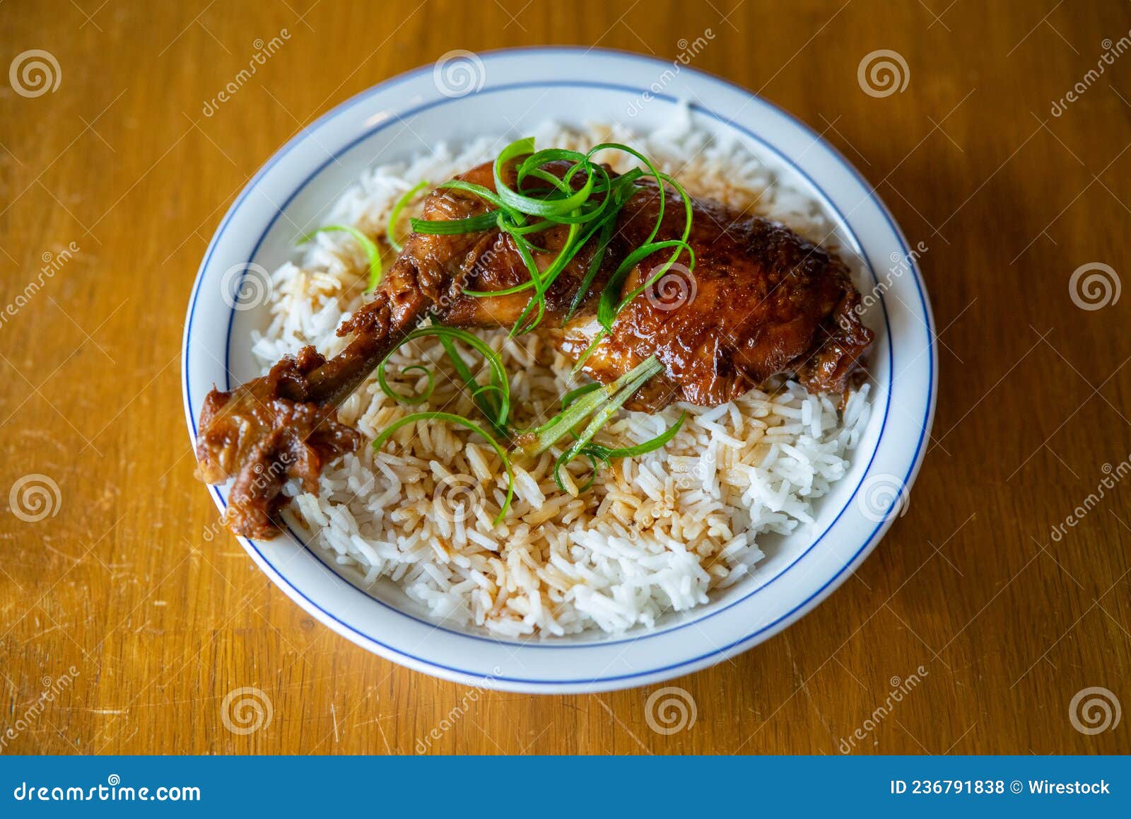 Chicken Adobo with Rice stock photo. Image of plate - 236791838