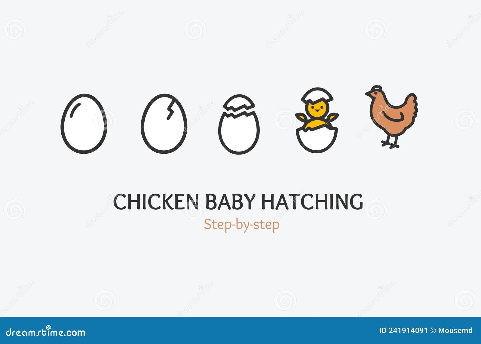 Chicken Baby Hatching Concept with Thin Line Icons. Vector Stock Vector ...