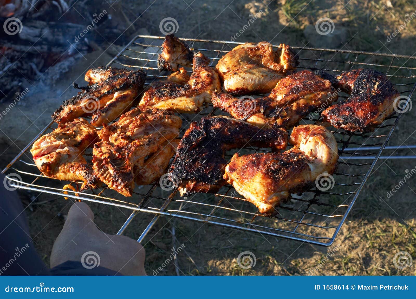 Chicken barbecue stock photo. Image of burning, grilled - 1658614