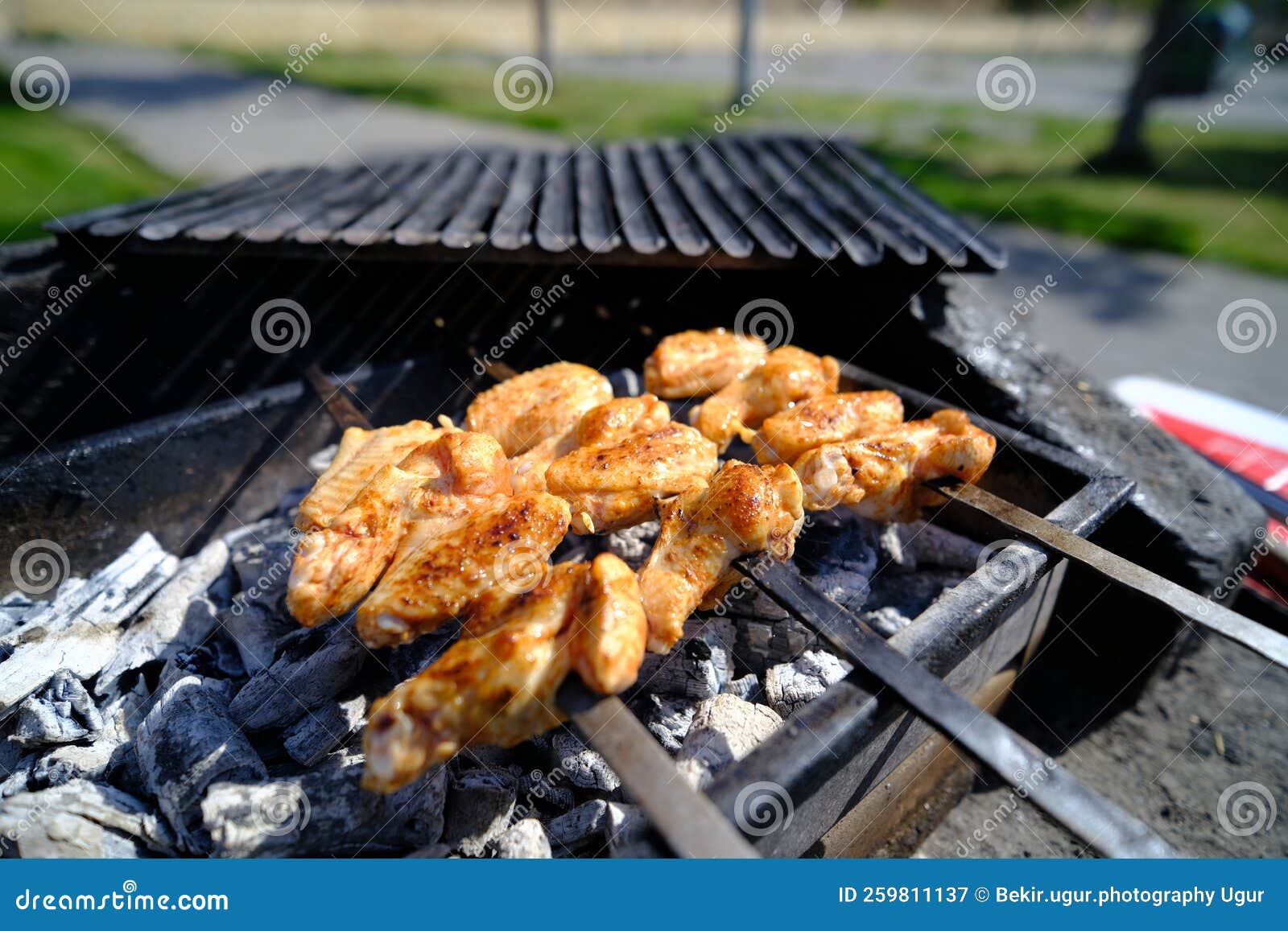 Chicken barbeque stock image. Image of meat, summer - 259811137
