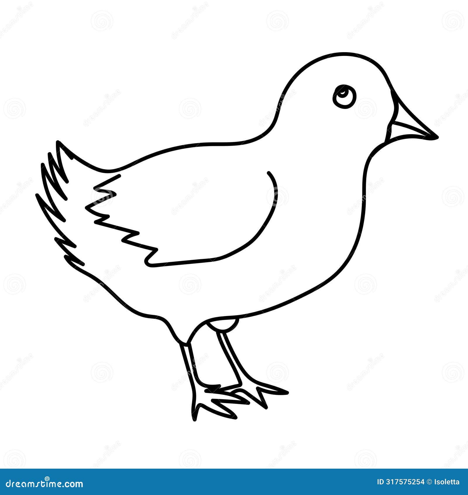 Chicken Bird Line Drawing. Doodle Vector Illustration Stock Vector ...