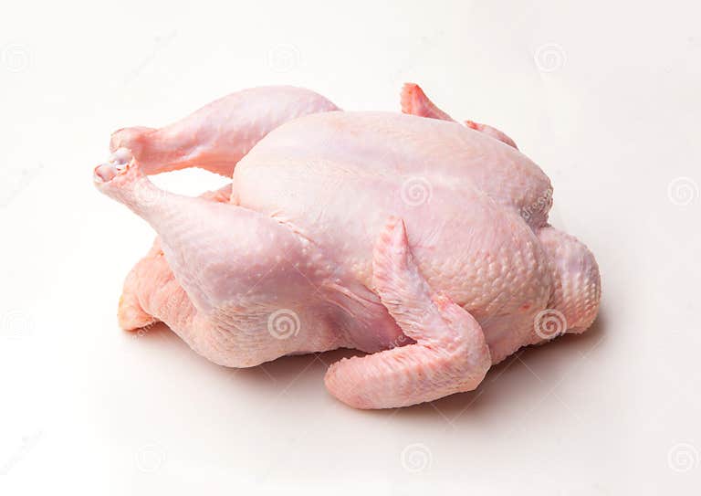 Chicken body stock photo. Image of healthy, delicious - 48091022