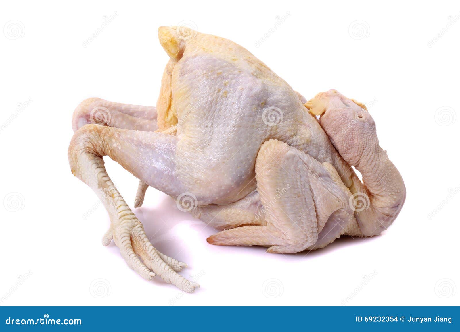 Chicken body stock photo. Image of delicious, fresh, skin - 69232354