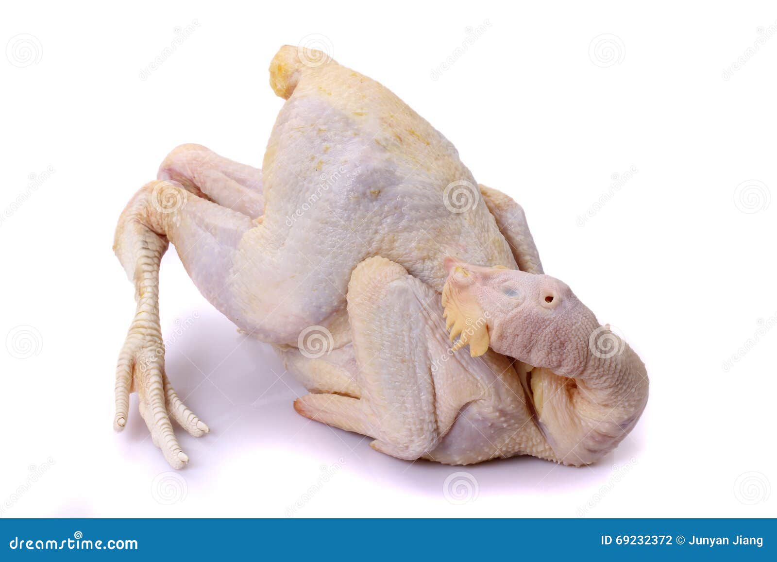 Chicken body stock photo. Image of wing, tasty, chicken - 69232372