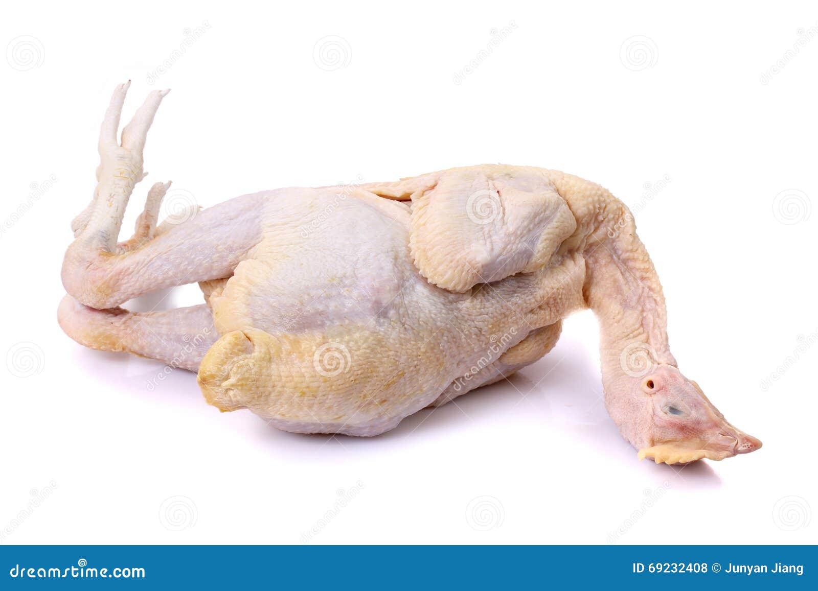 Chicken body stock photo. Image of skin, animal, studio - 69232408