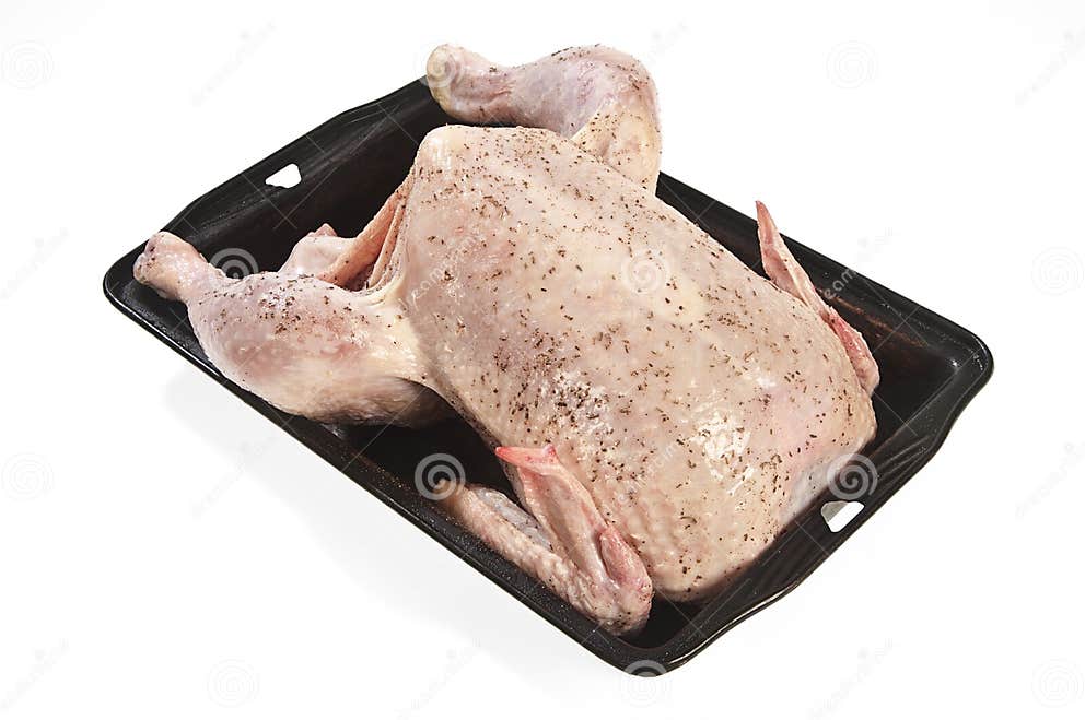 Chicken Body Ready for Cooking Stock Photo - Image of bird, meal: 23419312