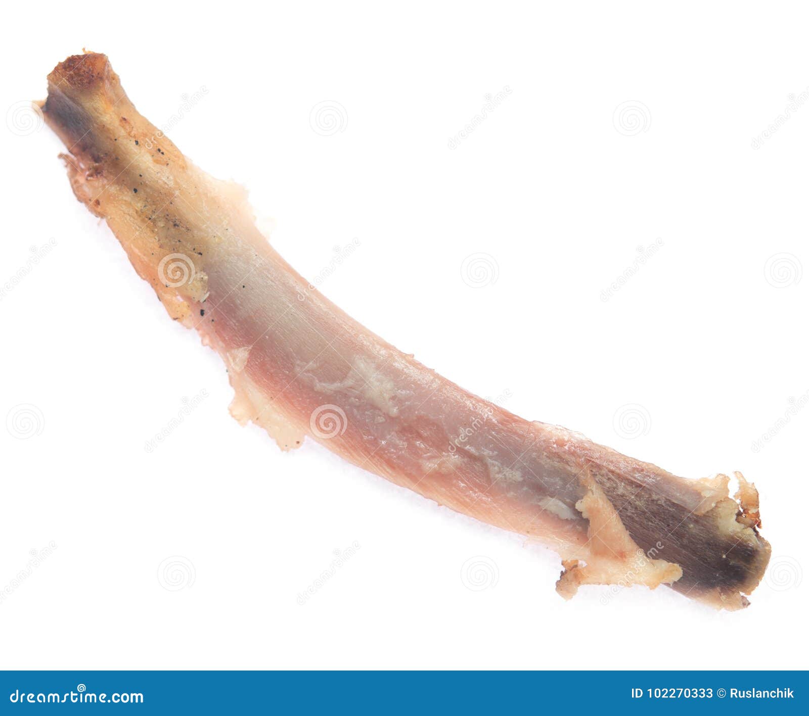 Chicken bone stock image. Image of grilled, meat, gourmet - 102270333