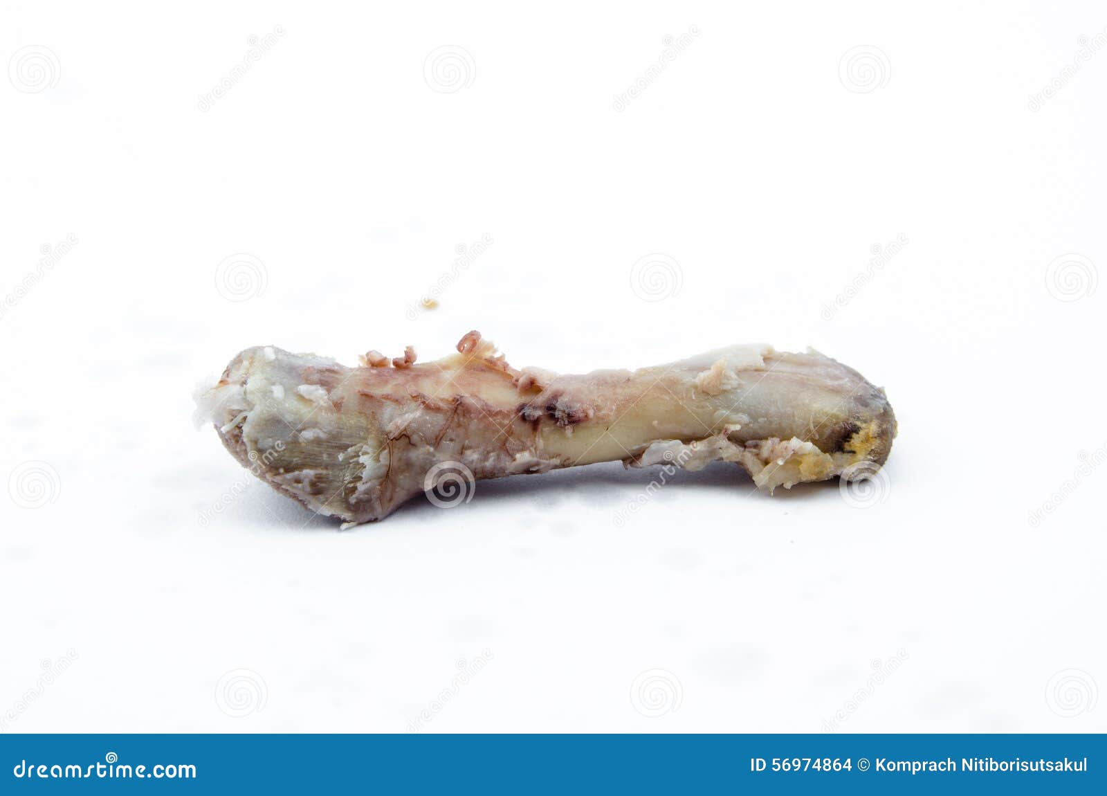 Chicken Bone Royalty-Free Stock Image | CartoonDealer.com #56974864