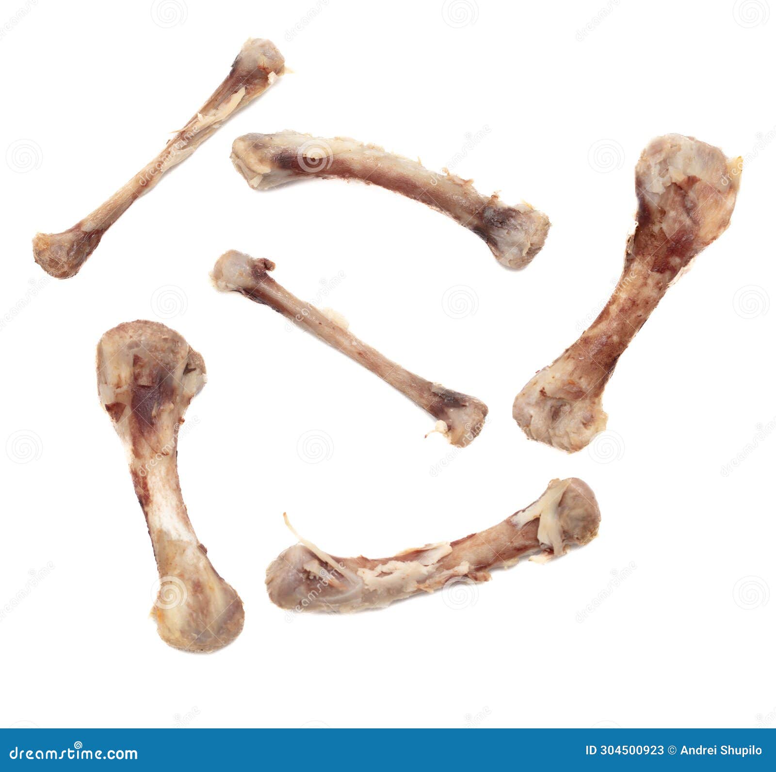 Chicken Bone Isolated on White Background. Close-up Stock Image - Image ...