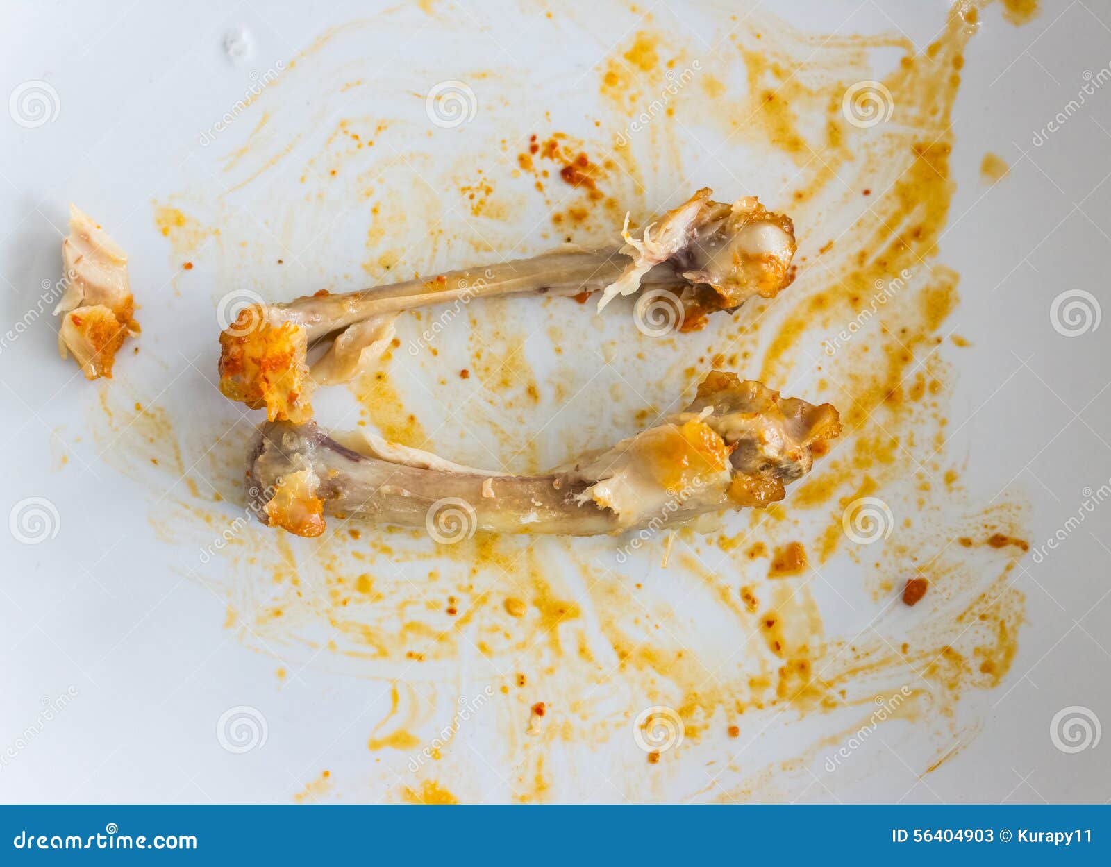 Chicken bone stock image. Image of animal, poultry, bird - 56404903