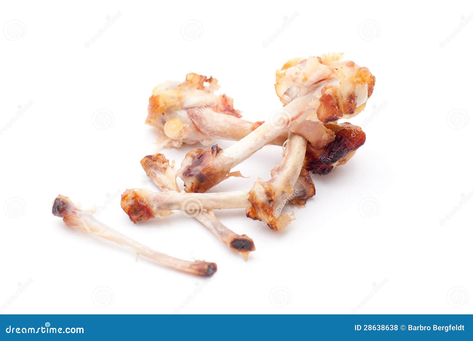 Chicken Bones stock photo. Image of chicken, copy, eaten - 28638638