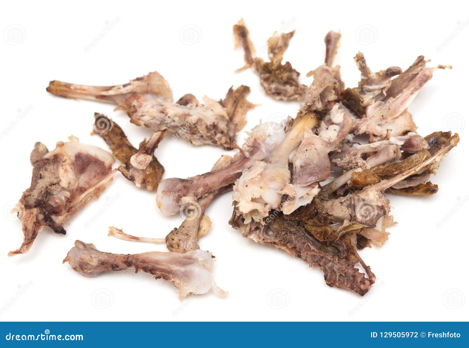 Chicken bones stock photo. Image of food, animal, meat - 129505972