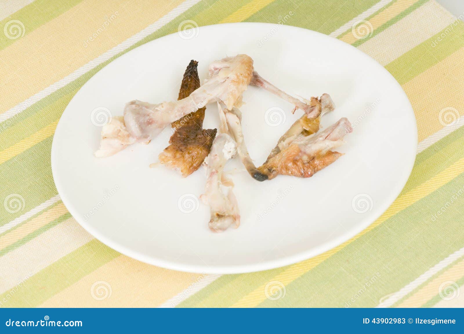 Chicken bones stock image. Image of empty, chicken, bone - 43902983