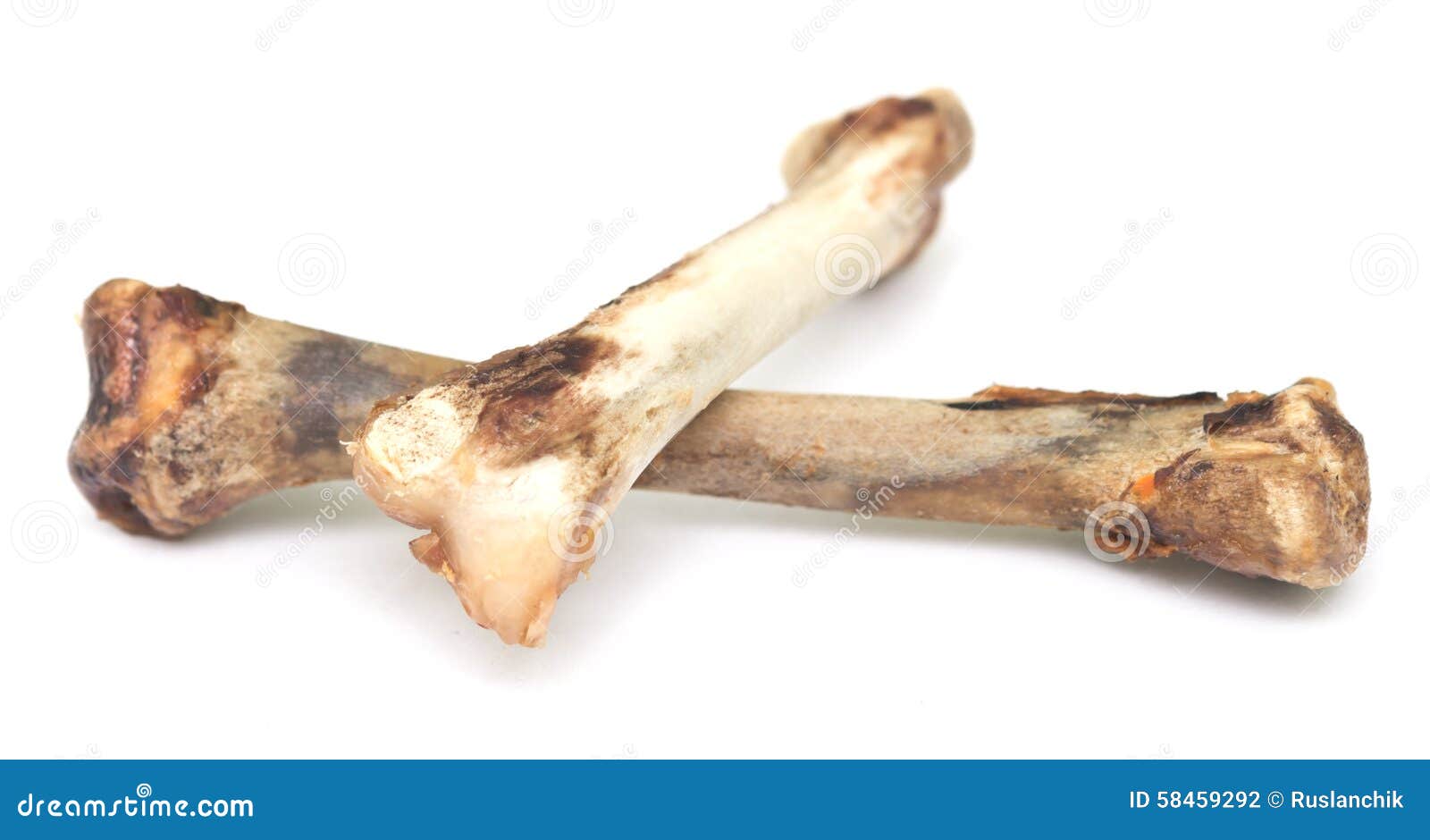 Chicken bones stock photo. Image of bone, chicken, thigh - 58459292