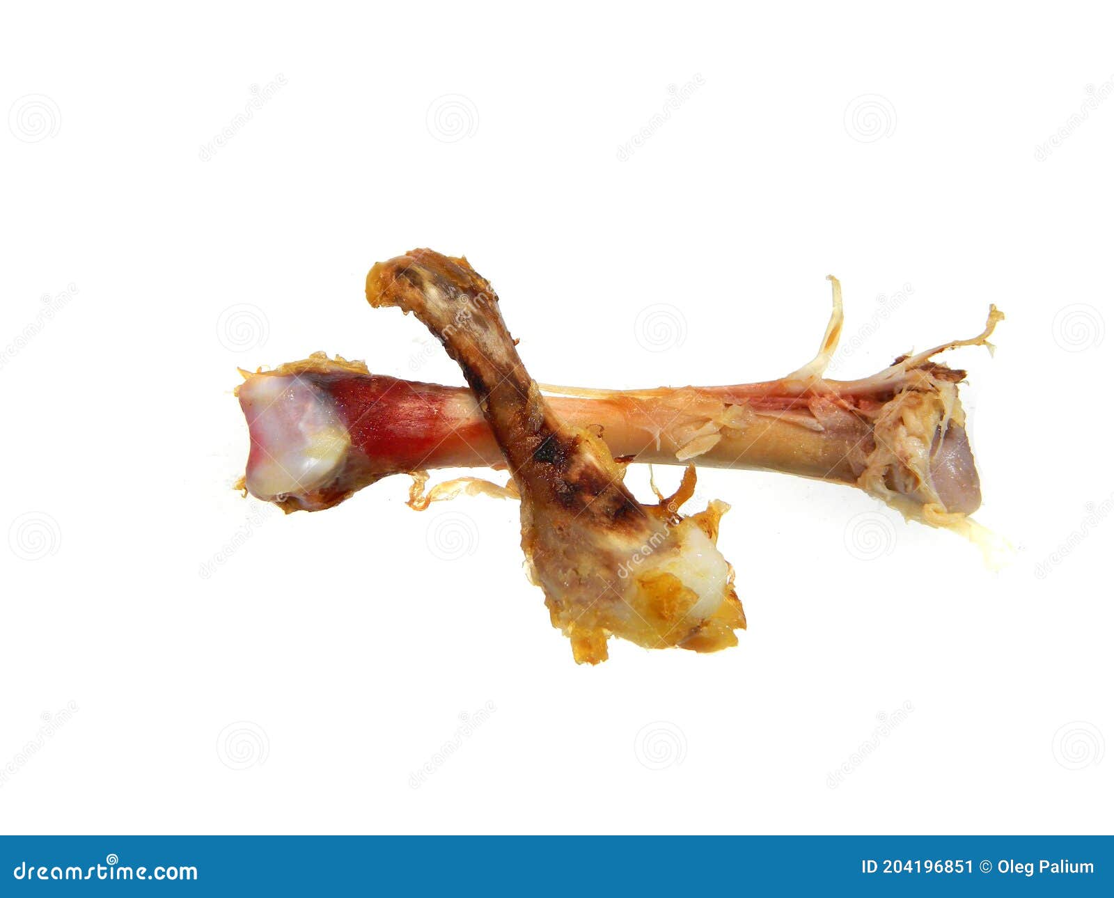 Chicken Bones Isolated on White Background Stock Image - Image of torn ...