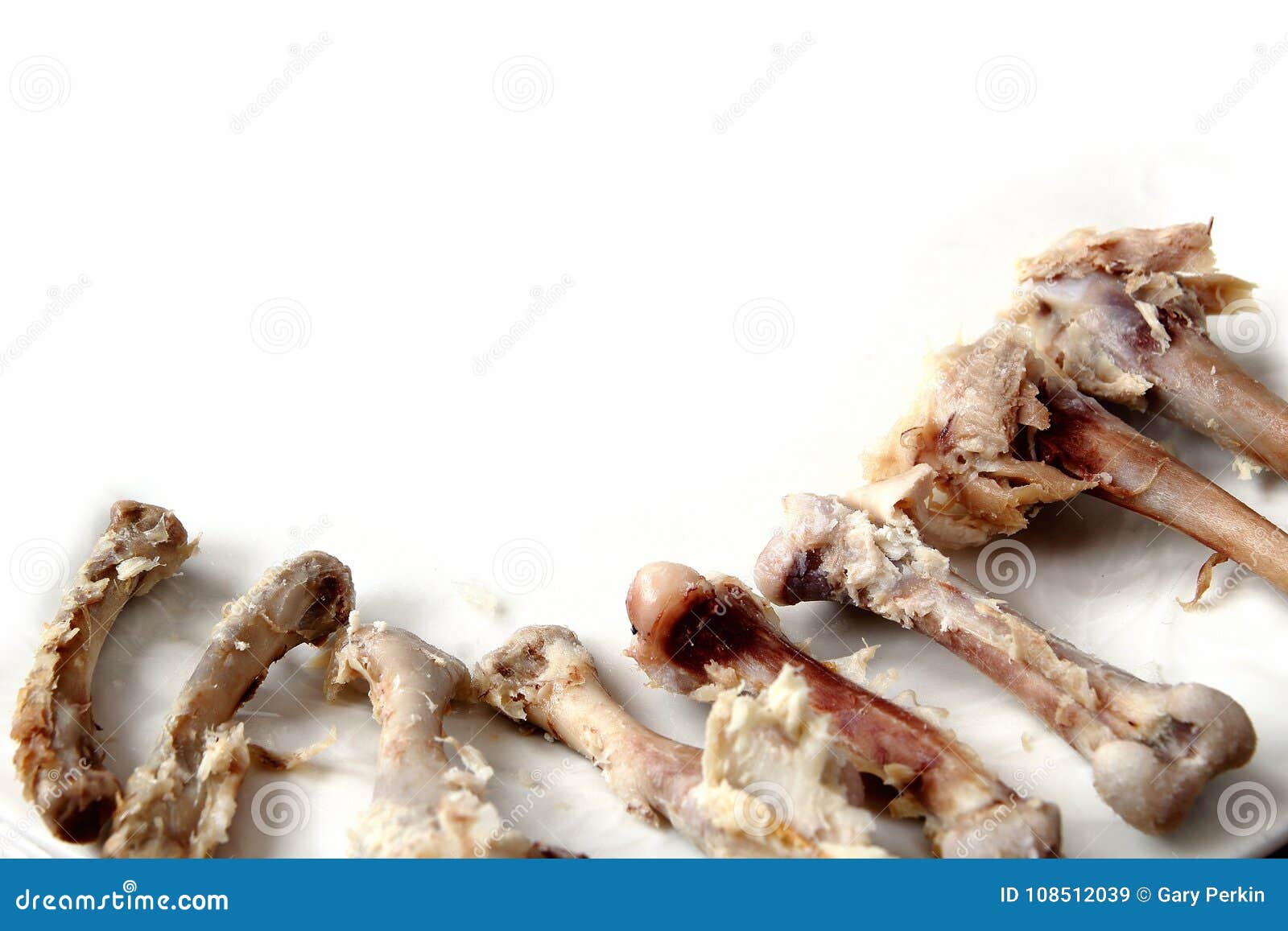 Chicken Bones with Meat Scraps on a White Background Stock Image ...