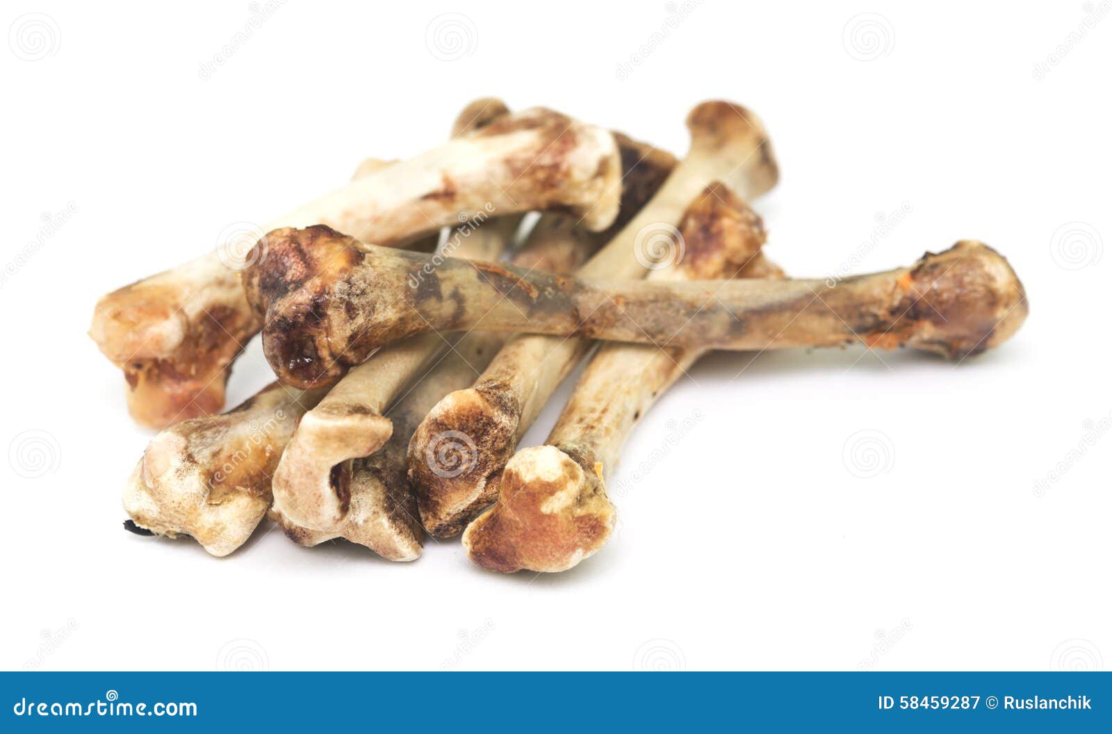 Chicken bones stock image. Image of pile, thigh, animal - 58459287