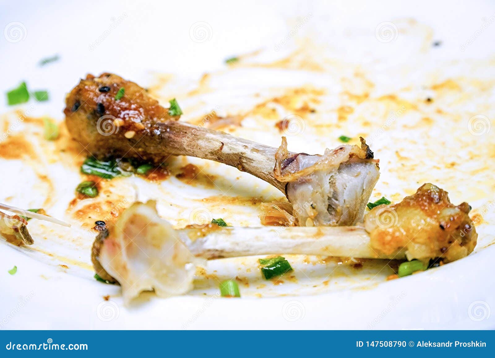 Chicken Bones Scraps on White Plate Stock Photo - Image of calories ...