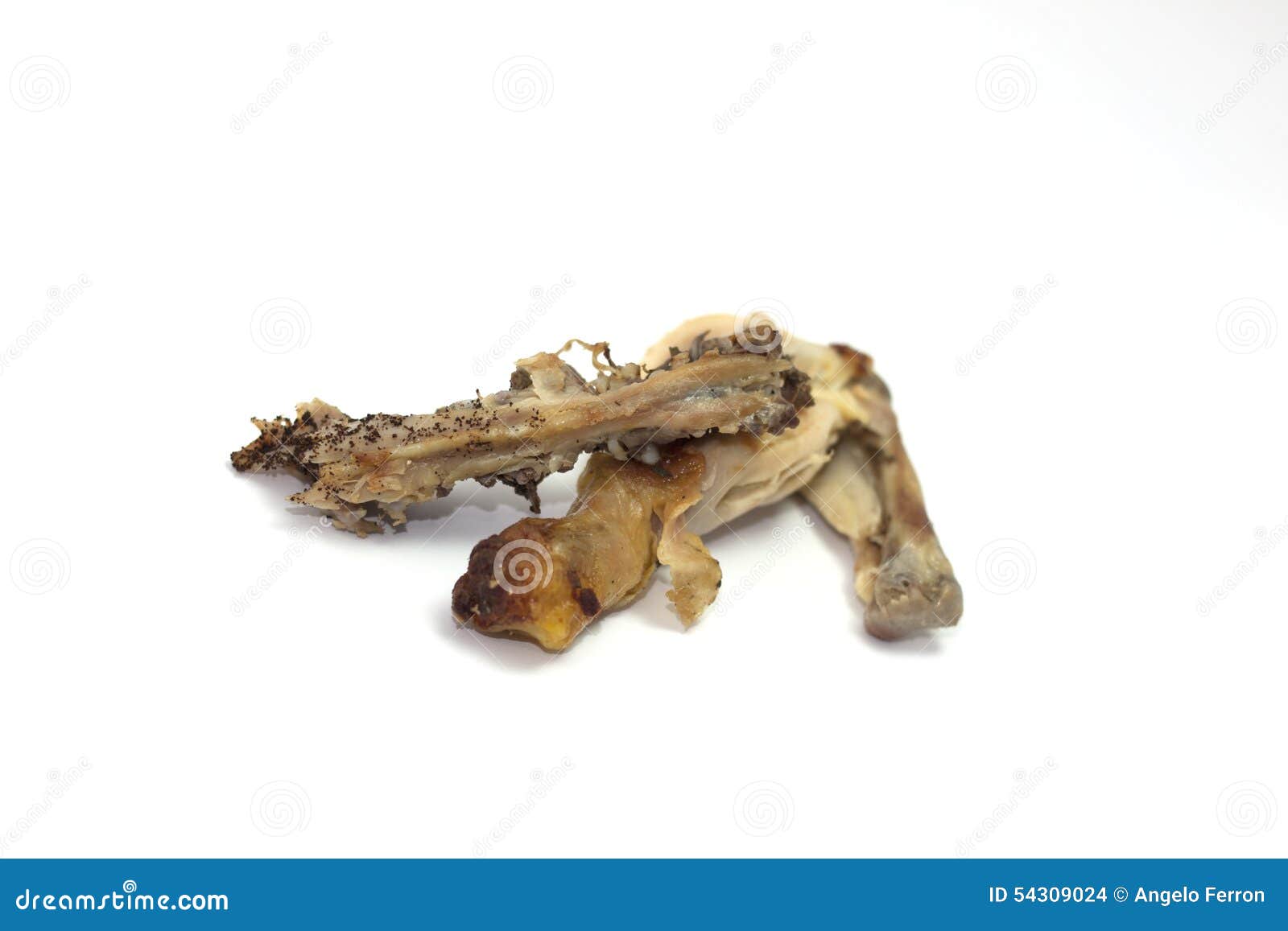 Chicken bones stock photo. Image of leftovers, leftover - 54309024