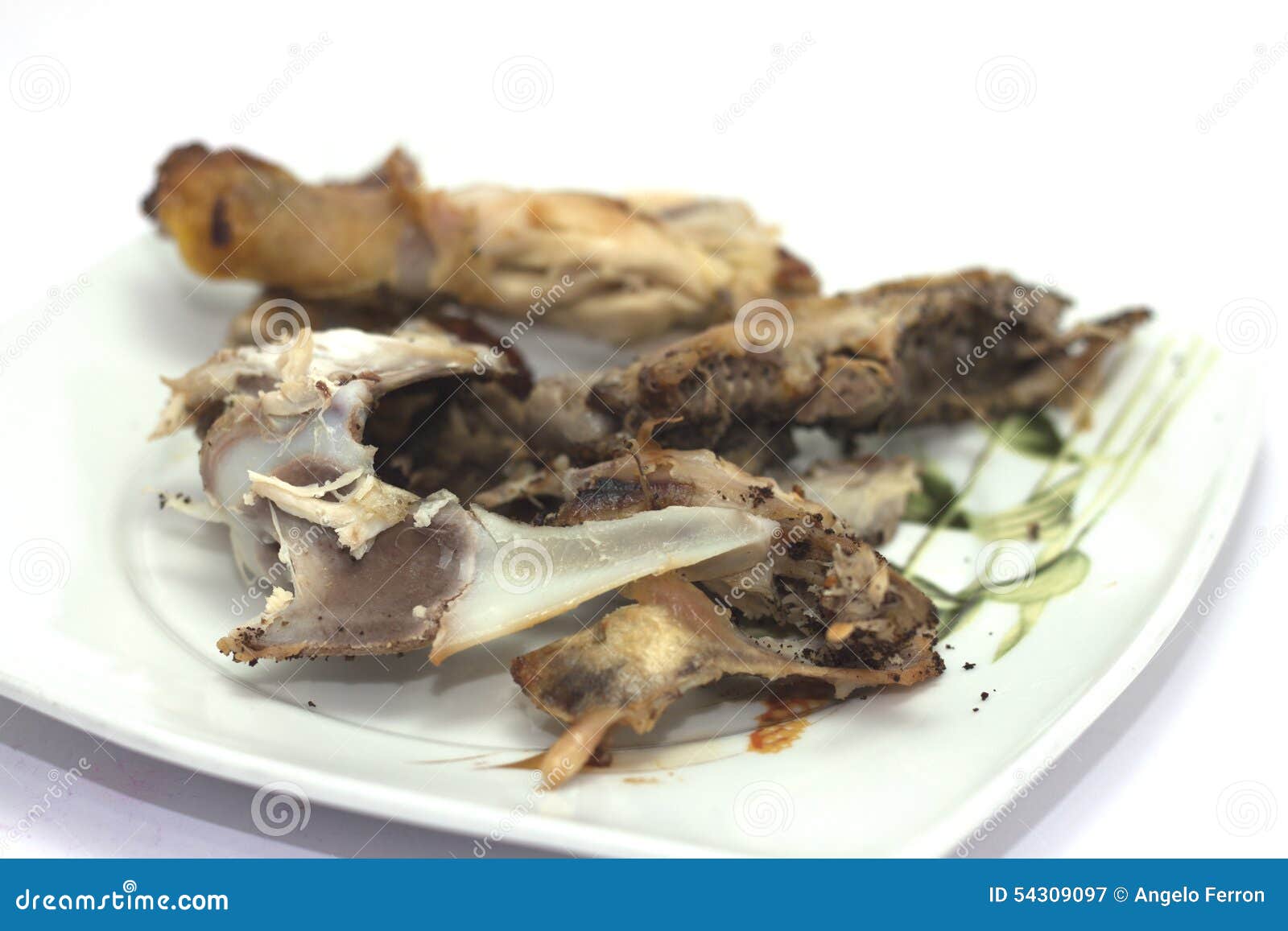 Chicken bones stock image. Image of leftover, food, leftovers - 54309097