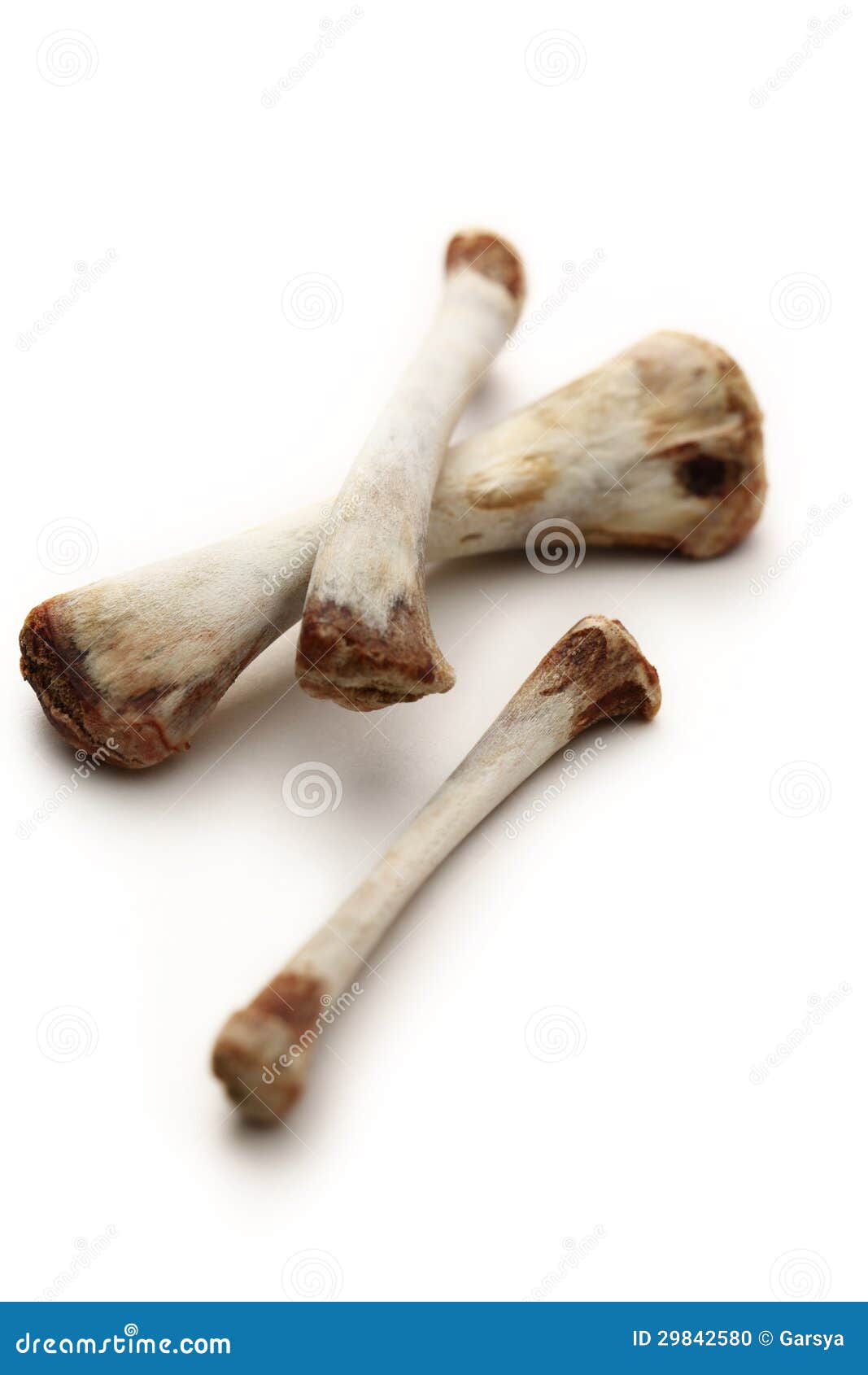 Clean Chicken Bone
