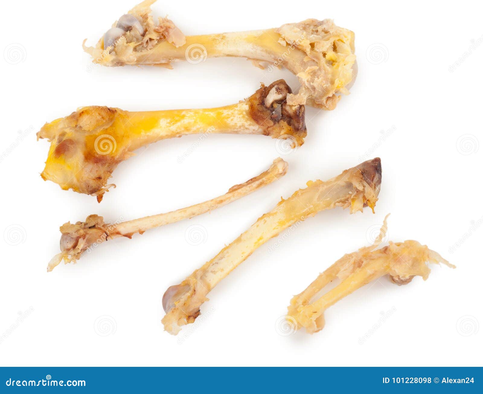 Chicken bones stock photo. Image of studio, chicken - 101228098