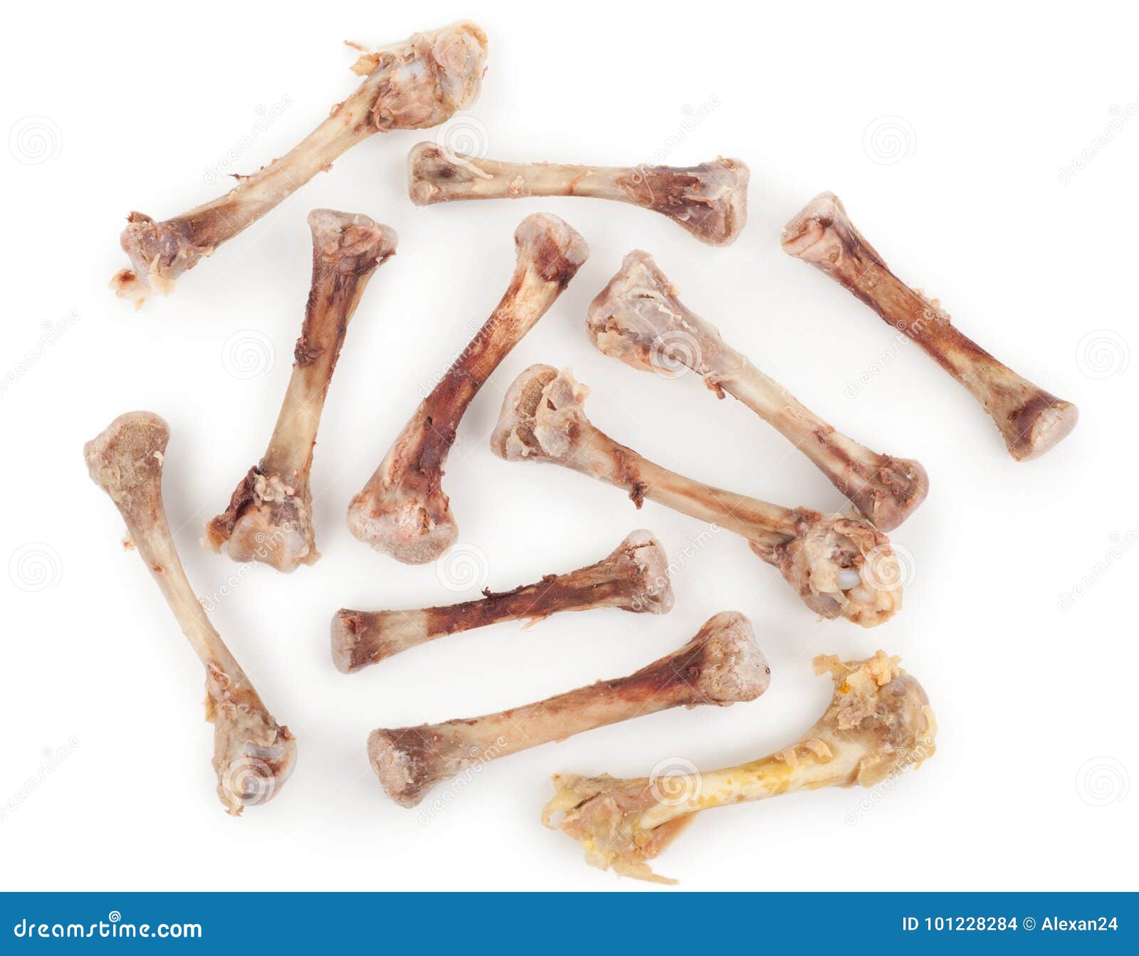 Chicken Bones Stock Image | CartoonDealer.com #54306103