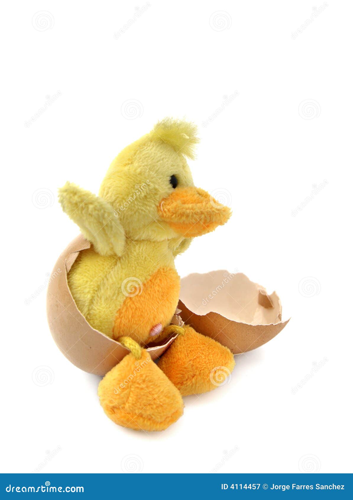Chicken is born stock image. Image of chicken, white, cloth - 4114457