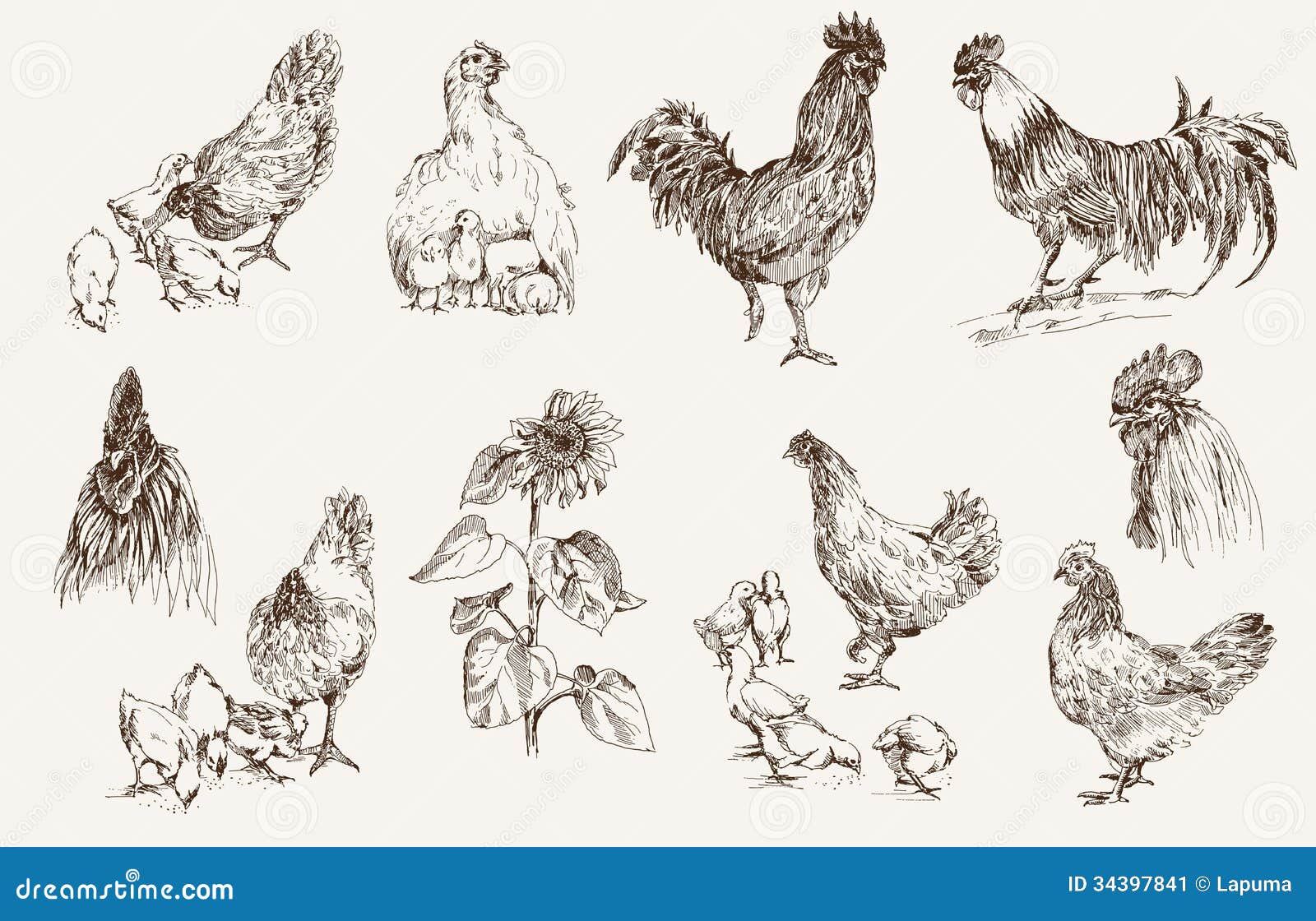Breeding Cartoons, Illustrations & Vector Stock Images - 19662 Pictures ...
