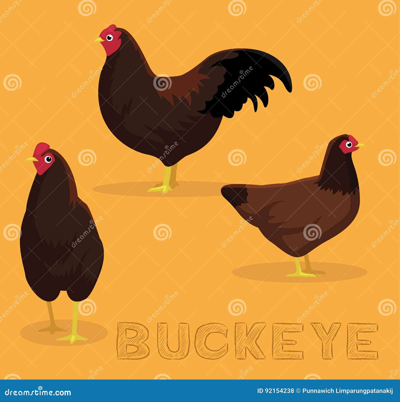 Chicken Buckeye Cartoon Vector Illustration Stock Vector - Illustration ...