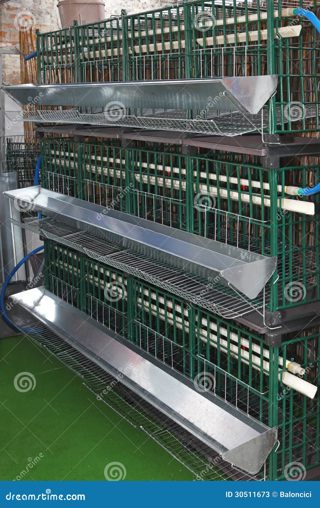 Chicken cage stock image. Image of chicken, agriculture - 30511673