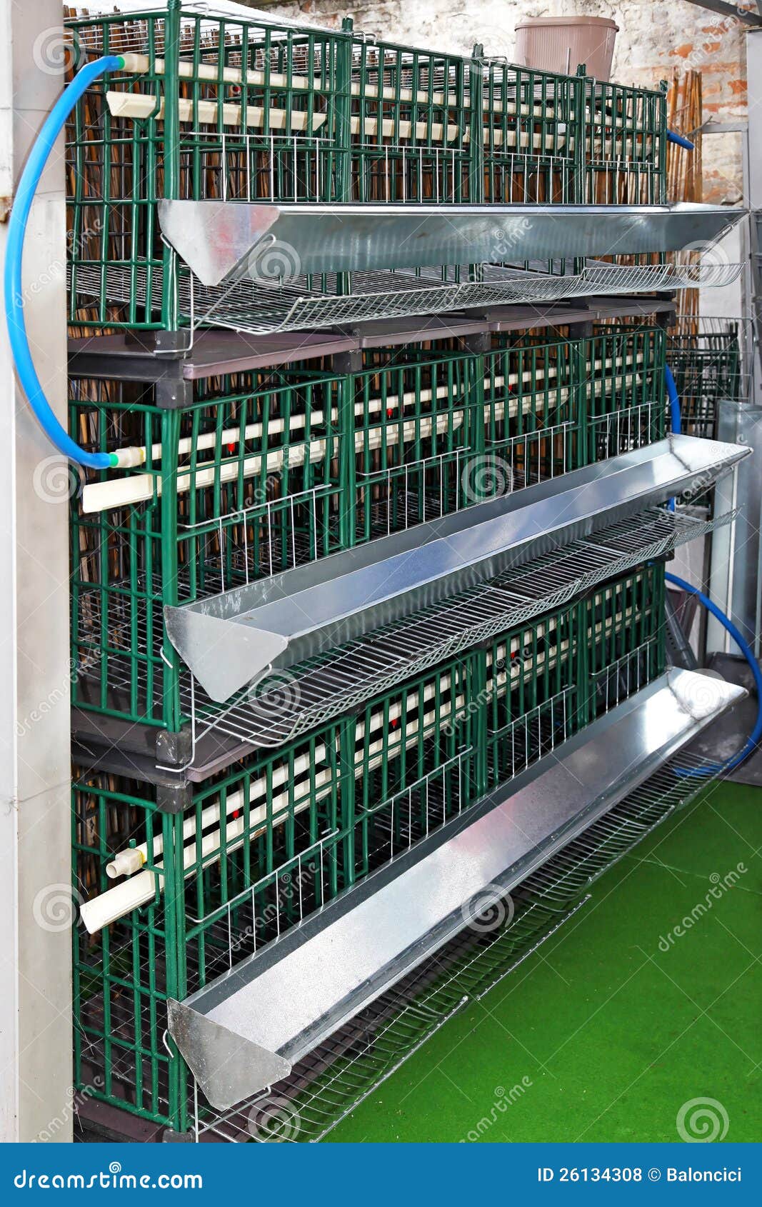 Chicken cages stock photo. Image of cages, agriculture - 26134308