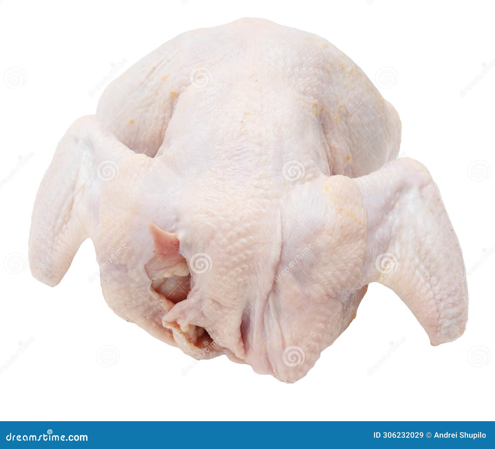 Chicken Carcass Isolated White Background Stock Image - Image of ...