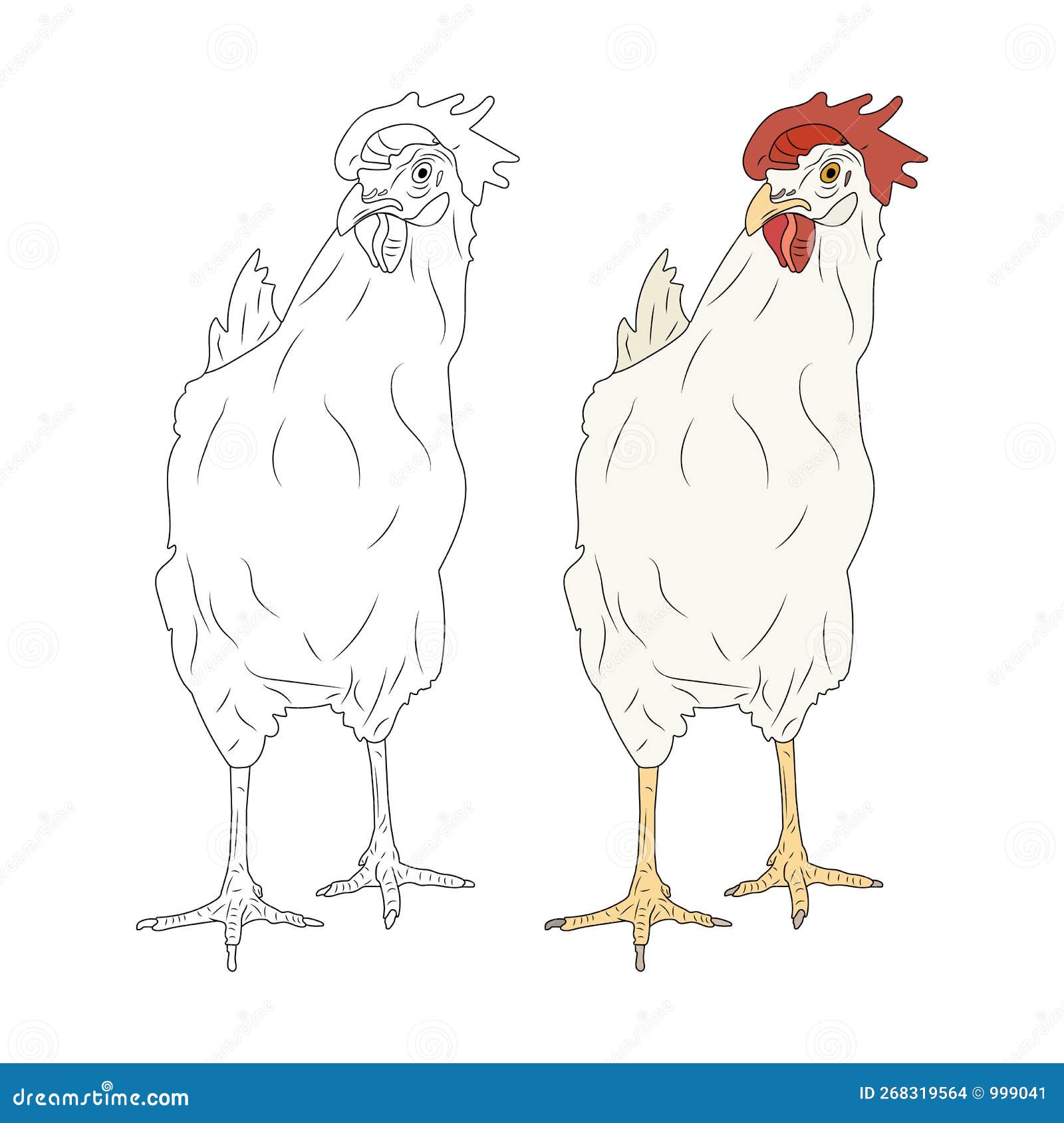 Chicken Coloring Page. Vector Stock Illustration Eps 10. Stock ...
