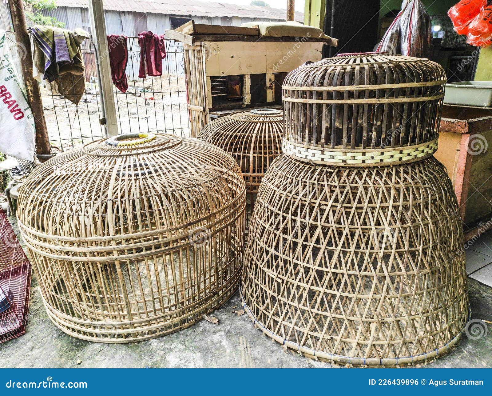 Chicken coop stock photo. Image of wood, percussion - 226439896