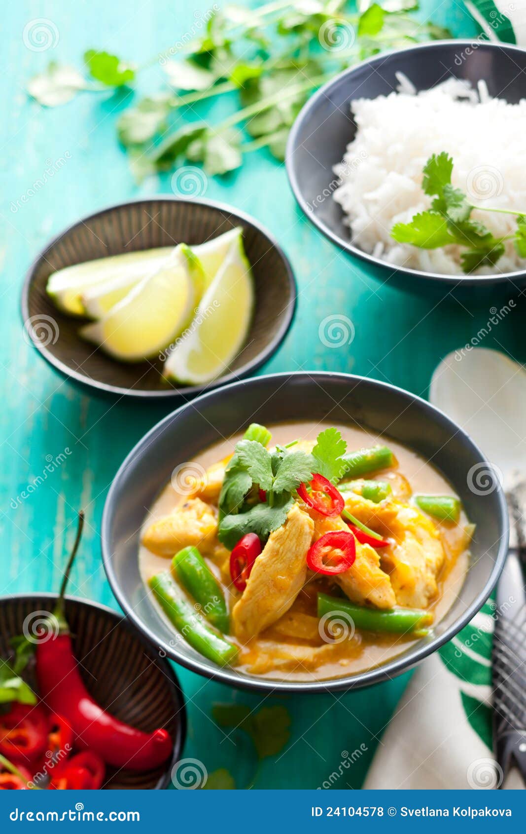 Chicken curry with rice stock photo. Image of cuisine - 24104578
