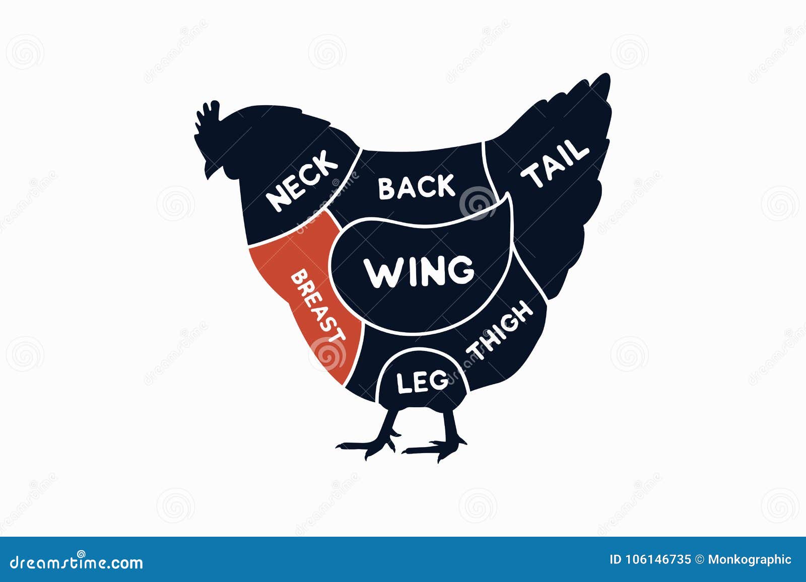 Chicken Cuts. Diagrams for Butcher Shop. Scheme of Chicken Stock Vector ... Chicken Cuts. Diagrams for Butcher Shop. Scheme of Chicken Stock Vector ...
