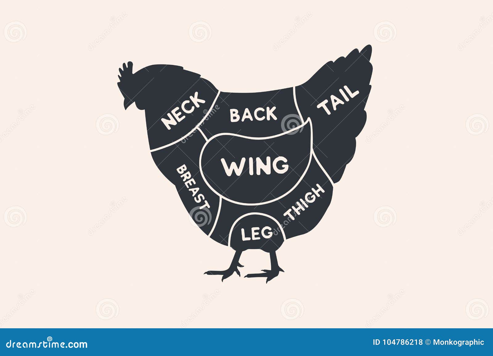 Chicken Cuts. Diagrams for Butcher Shop. Scheme of Chicken Stock Vector ...