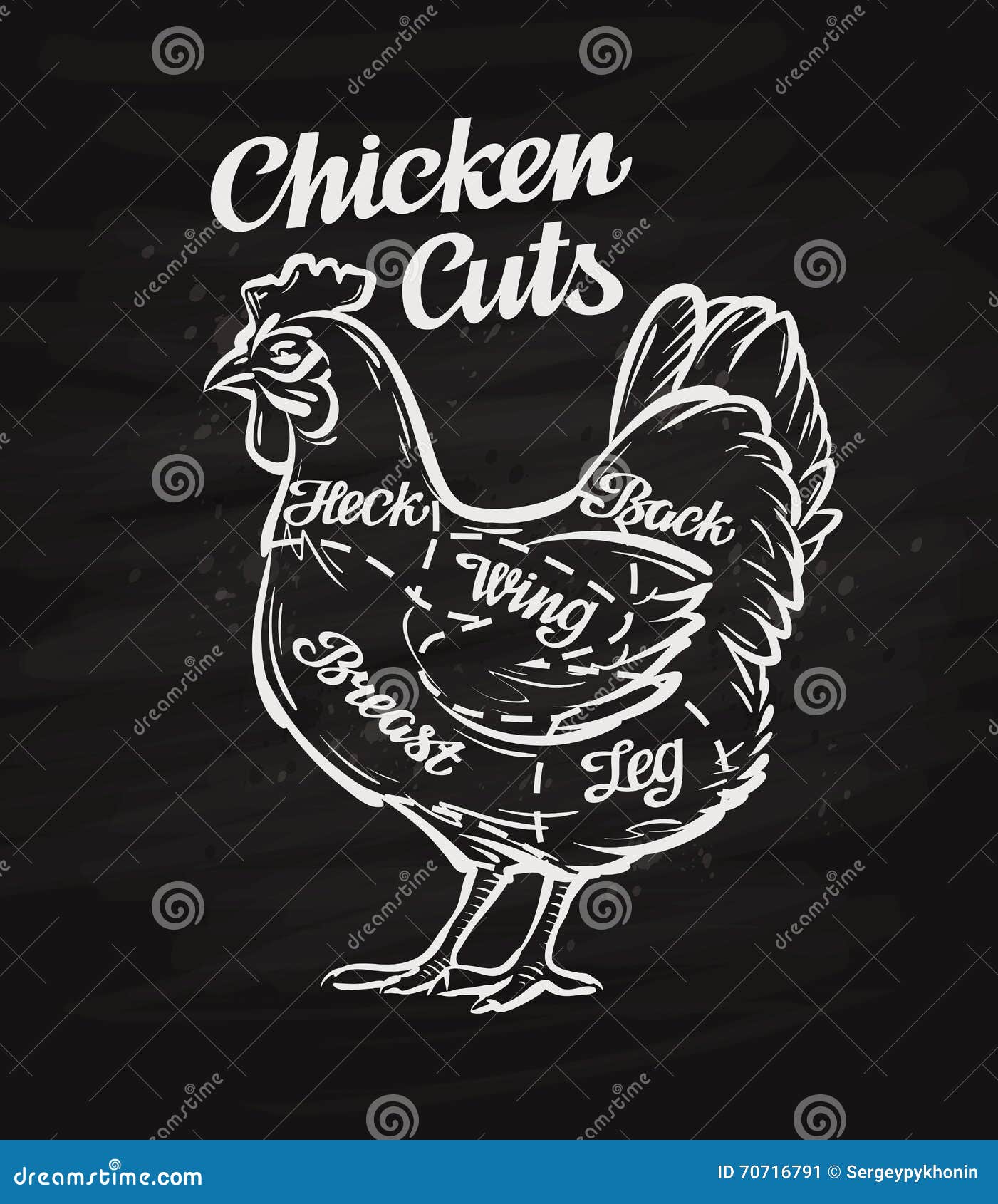 Cuts Of Chicken. Meat Cuts. Chicken Silhouette Isolated On Black ...