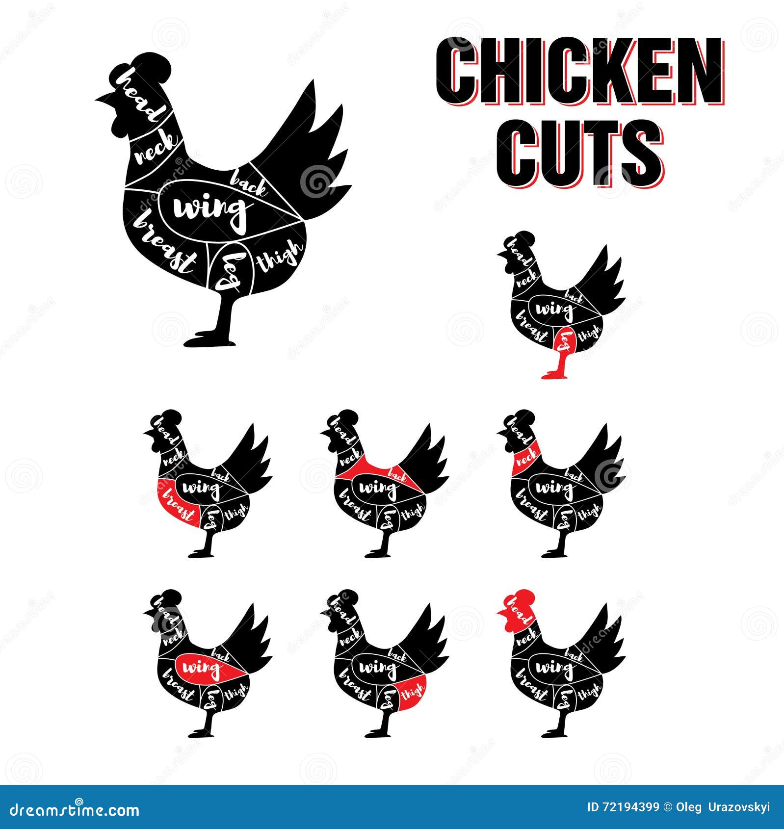 Chicken Cuts Vector Template Set Stock Illustration - Illustration of ...