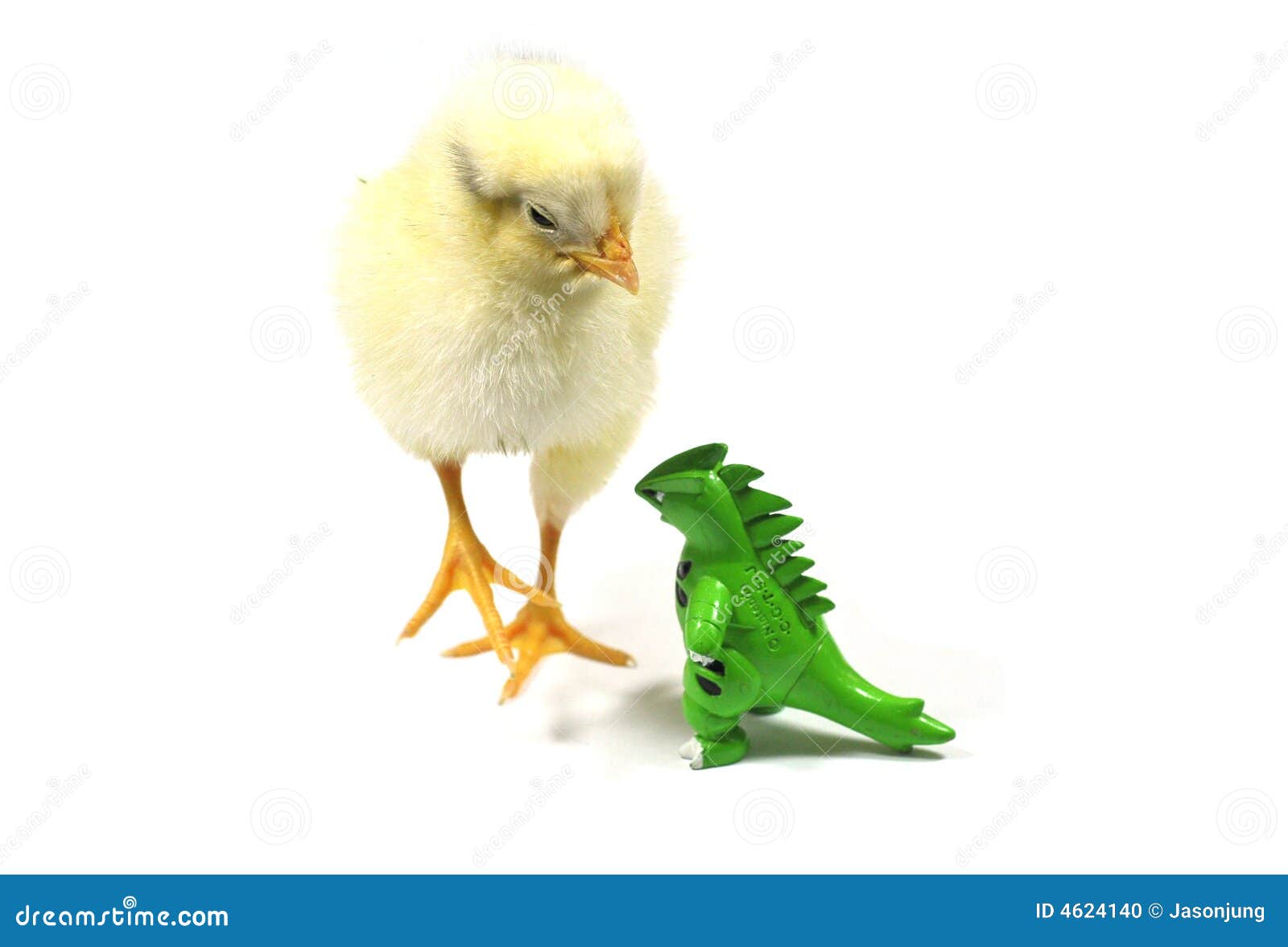 Chicken And Dinosaur Picture. Image: 4624140