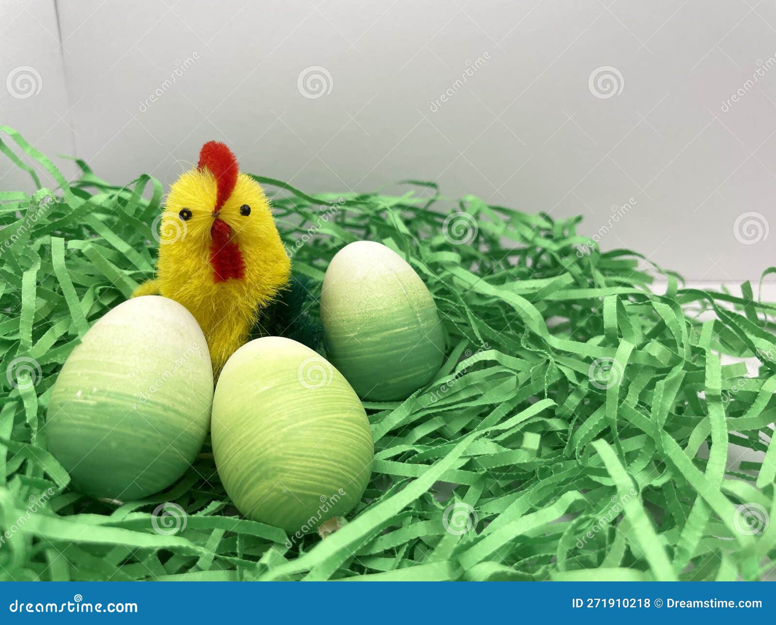Chicken Easter eggs stock photo. Image of bird, food - 271910218