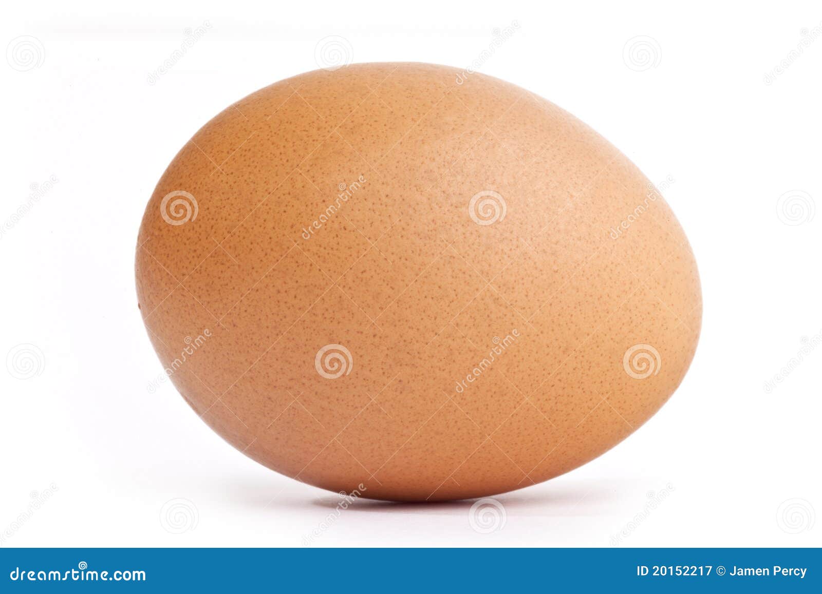 Chicken egg stock image. Image of farm, agriculture, start - 20152217