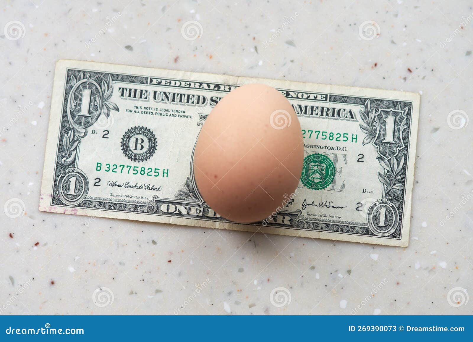 A Chicken Egg Against the Backdrop of a One Dollar Bill. Copy Space ...
